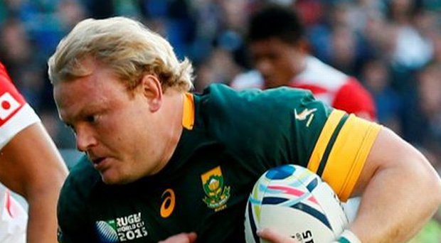 Strauss' cousin Adriaan to lead Springboks for Ireland Tests | Ultimate ...