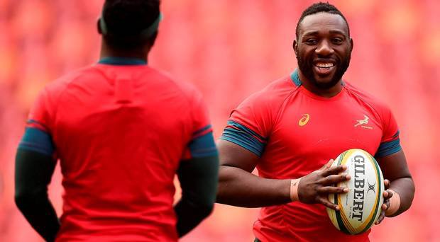 Springboks' 'Beast' promises ferocious start against Ireland in series ...