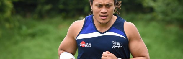TJ Ioane signs new Sale Sharks deal | Ultimate Rugby Players, News ...