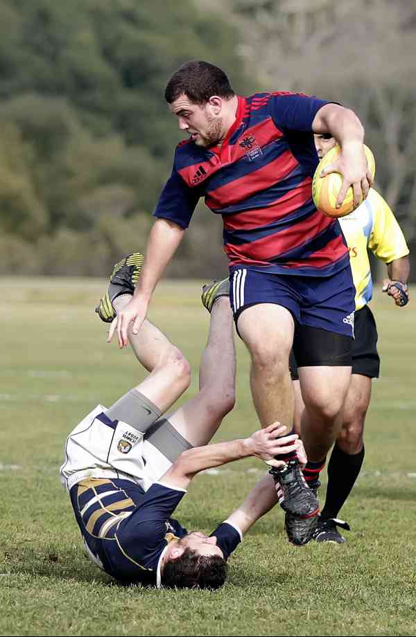 Dino Waldren | Ultimate Rugby Players, News, Fixtures and Live Results