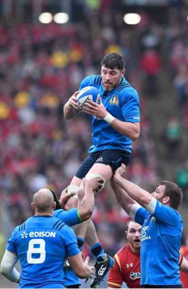 George Biagi | Ultimate Rugby Players, News, Fixtures and Live Results