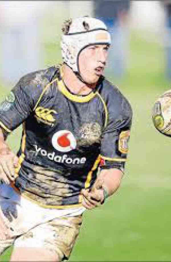 Hayden Cripps | Ultimate Rugby Players, News, Fixtures and Live Results