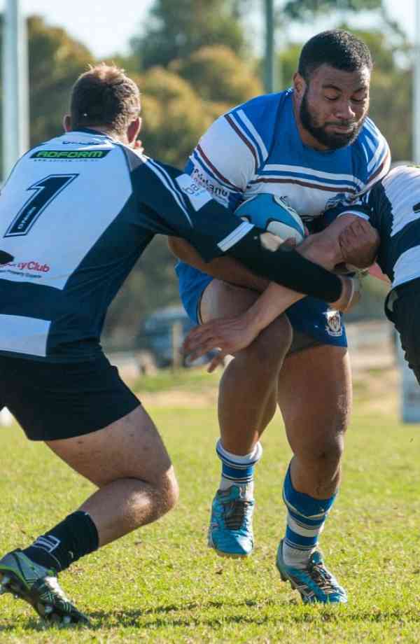Onehunga Havili | Ultimate Rugby Players, News, Fixtures and Live Results