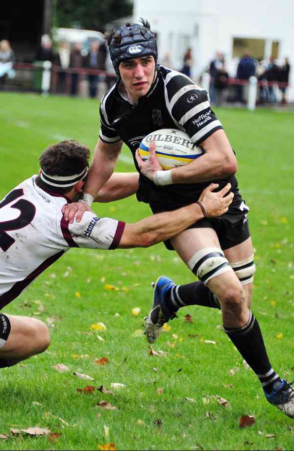 Dan Temm | Ultimate Rugby Players, News, Fixtures and Live Results