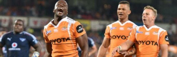 Everything you need to know about the Cheetahs | Ultimate Rugby Players ...