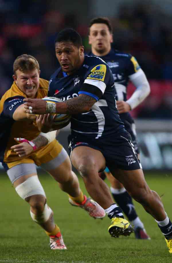 Max Crumpton | Ultimate Rugby Players, News, Fixtures and Live Results