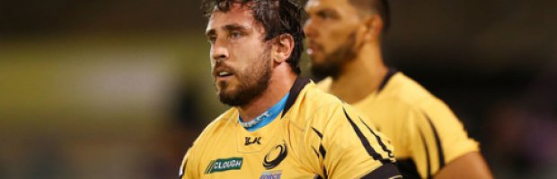 Rebels sign Ben Daley | Ultimate Rugby Players, News, Fixtures and Live ...