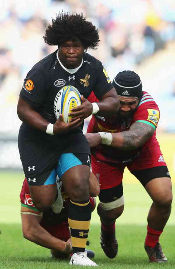 Ashley Johnson | Ultimate Rugby Players, News, Fixtures and Live Results