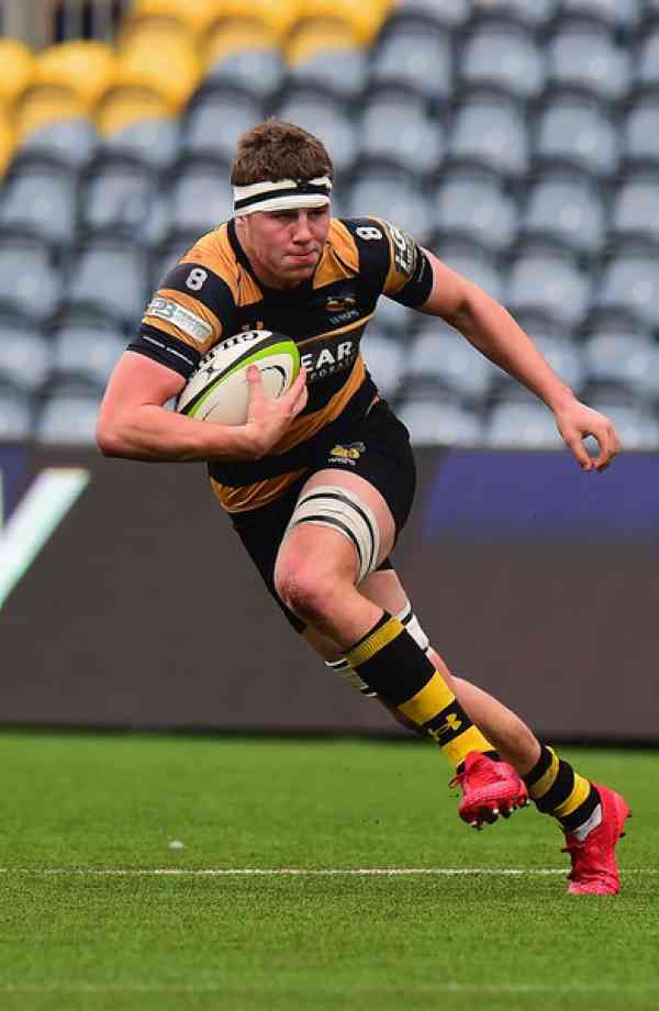 Tom Willis | Ultimate Rugby Players, News, Fixtures and Live Results