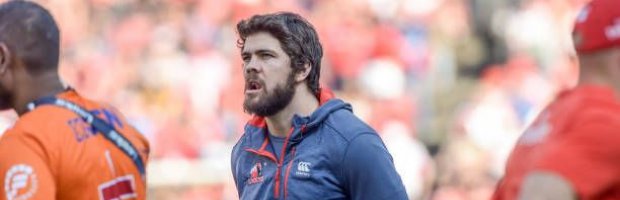 Warren Whiteley may return in December | Ultimate Rugby Players, News ...