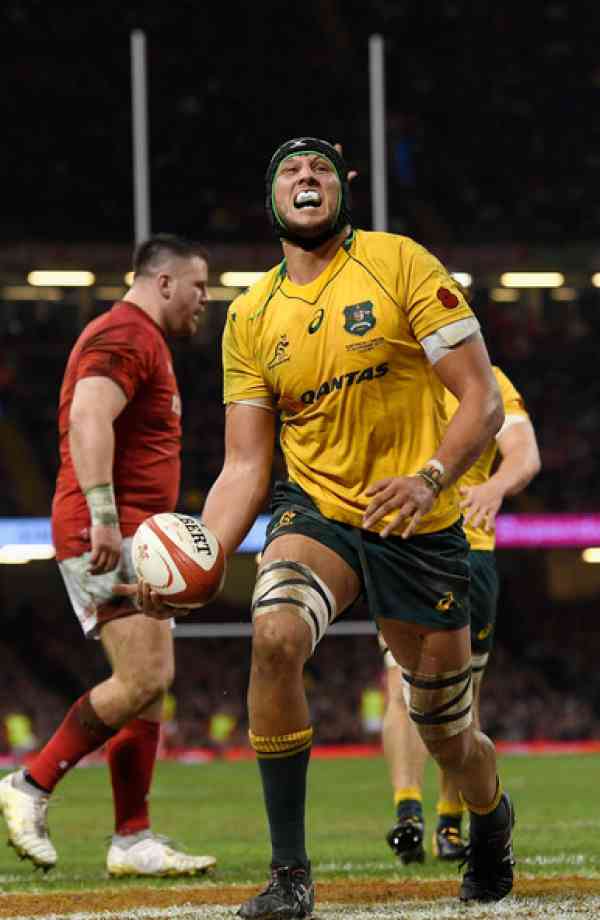 Adam Coleman | Ultimate Rugby Players, News, Fixtures and Live Results