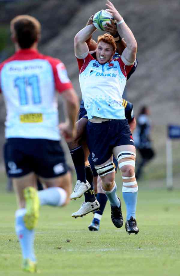 Brad Wilkin | Ultimate Rugby Players, News, Fixtures and Live Results