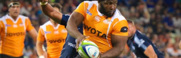 Cheetah touring squad announced | Ultimate Rugby Players, News ...