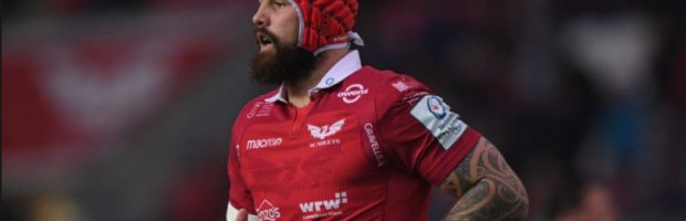 Scarlets name squad to travel to South Africa | Ultimate Rugby Players ...