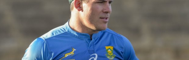 Bulls confirm Schalk Brits signing | Ultimate Rugby Players, News ...