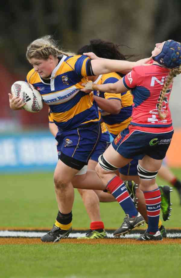 Luka Connor | Ultimate Rugby Players, News, Fixtures and Live Results