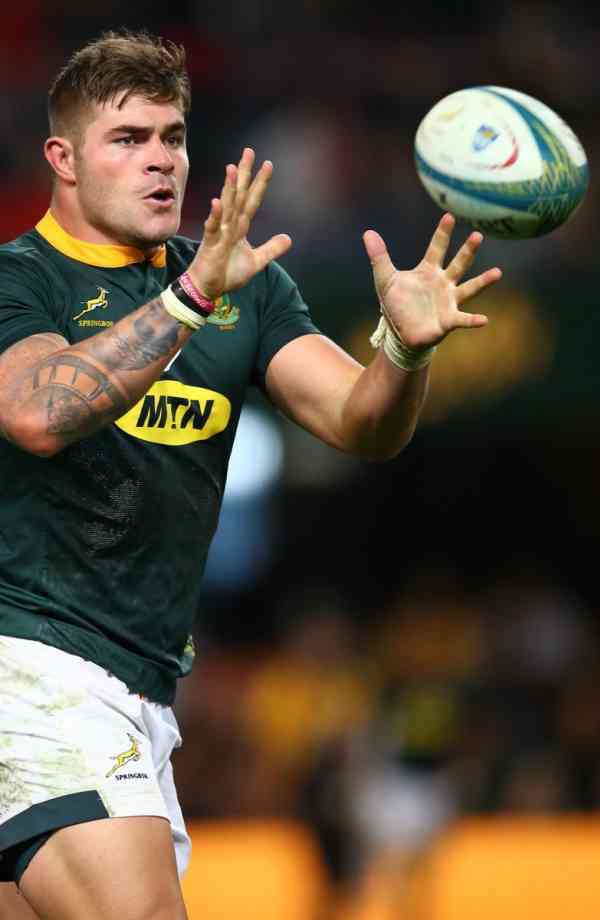 Malcolm Marx | Ultimate Rugby Players, News, Fixtures and Live Results