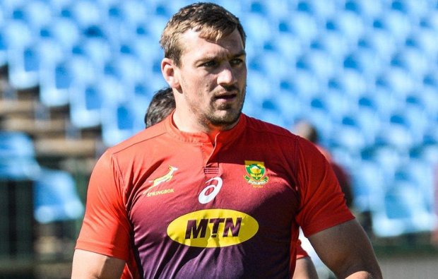 Meet the new Springboks | Ultimate Rugby Players, News, Fixtures and ...