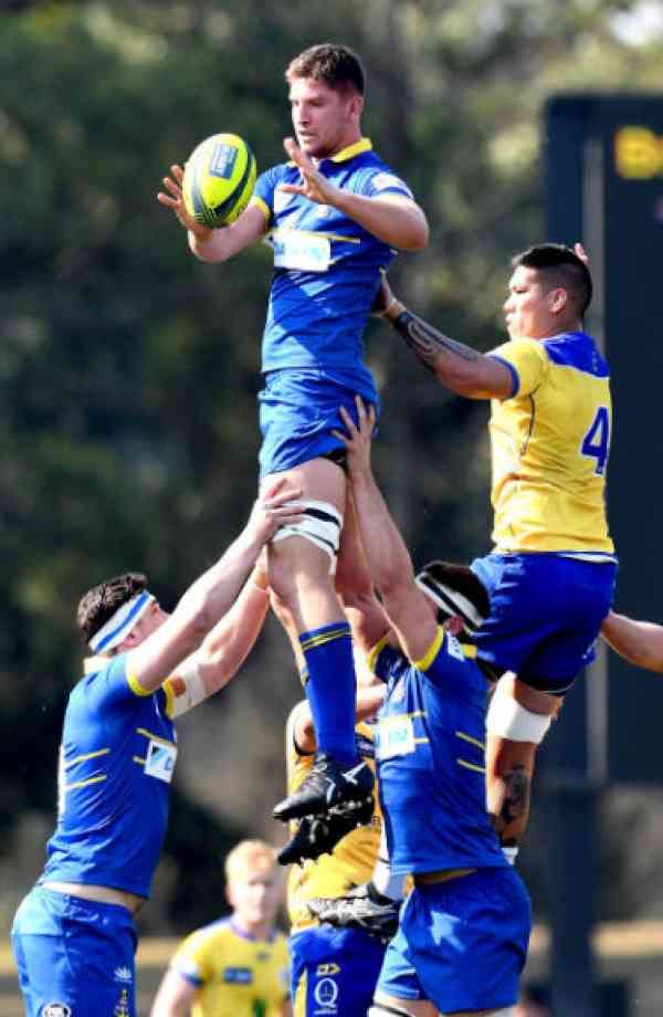 Ryan McCauley | Ultimate Rugby Players, News, Fixtures and Live Results