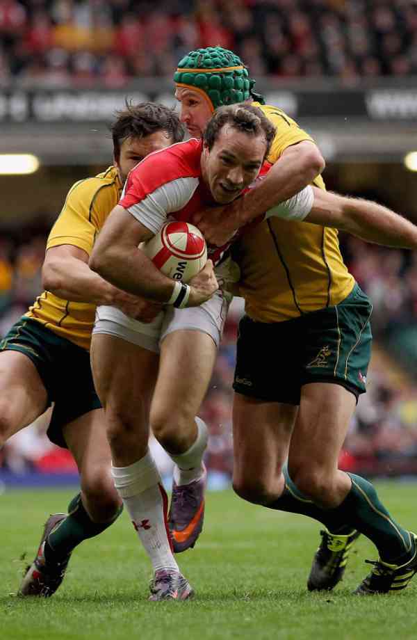 Will Harries | Ultimate Rugby Players, News, Fixtures and Live Results