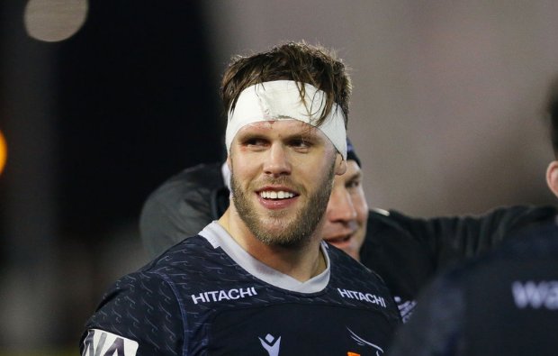 Will Welch returns for Newcastle | Ultimate Rugby Players, News ...