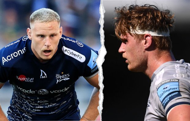 Springbok coach Deon Davids highlights the areas where the du Preezs ...