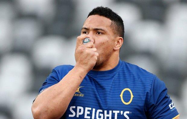 Dragons sign Samoan prop | Ultimate Rugby Players, News, Fixtures and ...