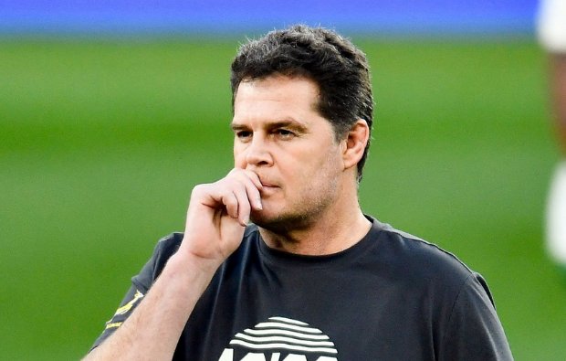 Erasmus criticises Gatland's comments on Faf de Klerk and Marius Jonker ...