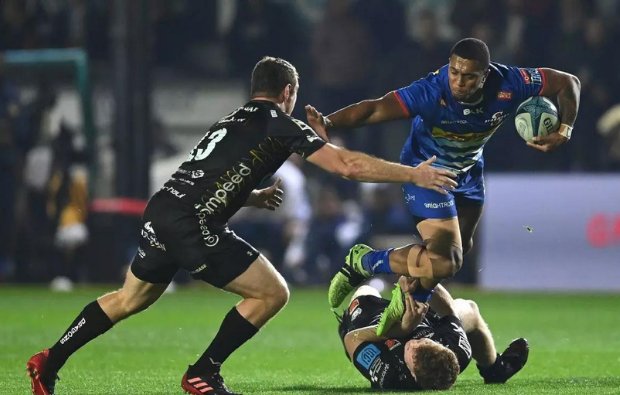 Stormers fly SA flag in the north | Ultimate Rugby Players, News ...