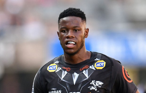 Fassi returns as Sharks name a strong lineup to Leinster | Ultimate ...