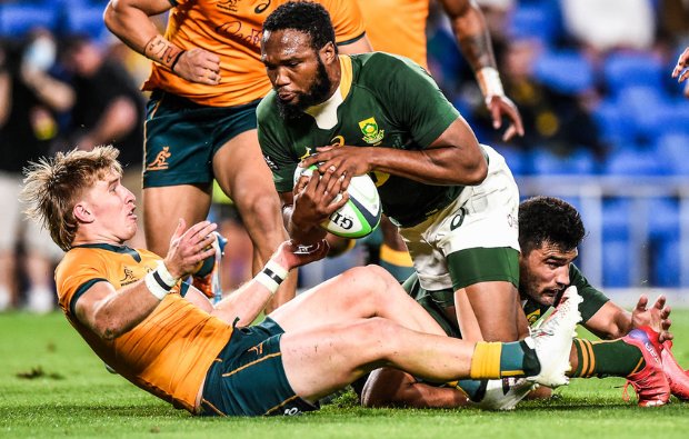 Springboks to face Australia for the first time in Adelaide | Ultimate ...