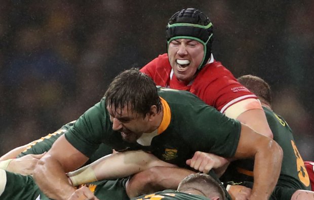 Beard backs Wales to create history in South Africa | Ultimate Rugby ...
