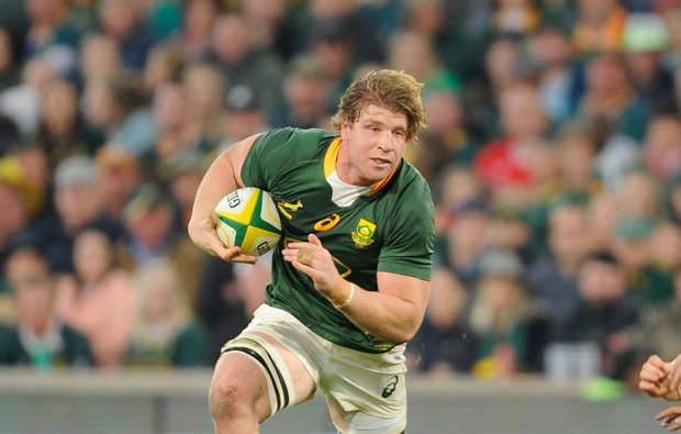 Springbok Player Ratings v Wales - Test 2 | Ultimate Rugby Players ...