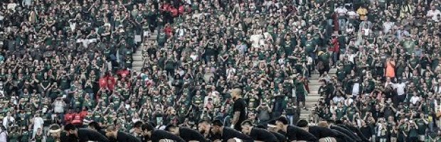 Kapa o Pango v South Africa (2022) | Ultimate Rugby Players, News ...