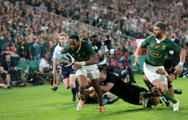 Springbok Player Ratings v New Zealand | Ultimate Rugby Players, News ...