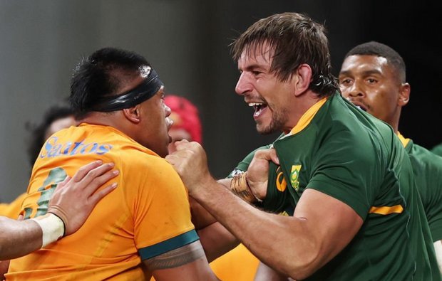 Springboks Player Ratings v Australia | Ultimate Rugby Players, News ...