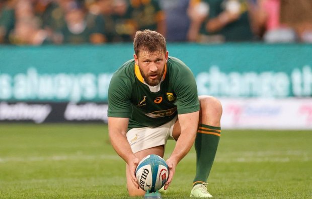 Springbok Player Ratings v Argentina | Ultimate Rugby Players, News ...