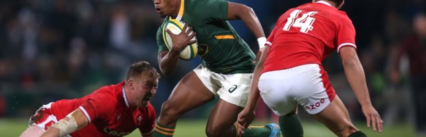 Six players to join Springbok squad in England | Ultimate Rugby Players ...