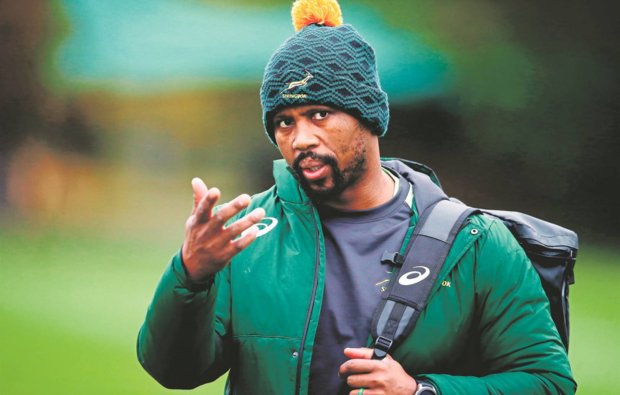 Springbok coaches renew contracts for four years | Ultimate Rugby ...