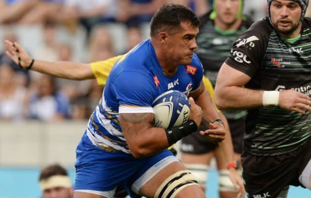 Stormers forced to change two for Semi-Finals | Ultimate Rugby Players ...