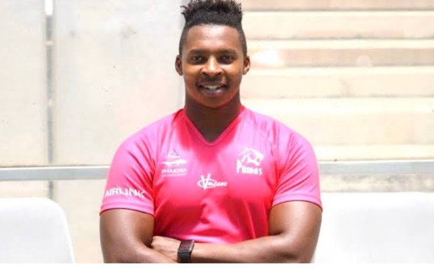 Cheetahs secure four talented players | Ultimate Rugby Players, News ... Cheetahs secure four talented players | Ultimate Rugby Players, News ...