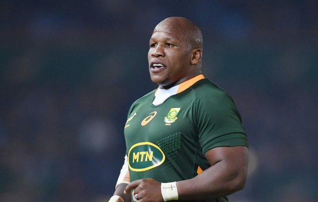 Mbonambi captains Boks in Buenos Aires as Steenekamp makes debut ...