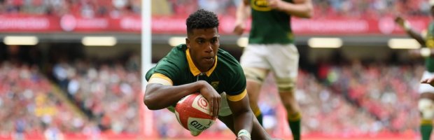South Africa send message to World Cup rivals after demolishing Wales ...