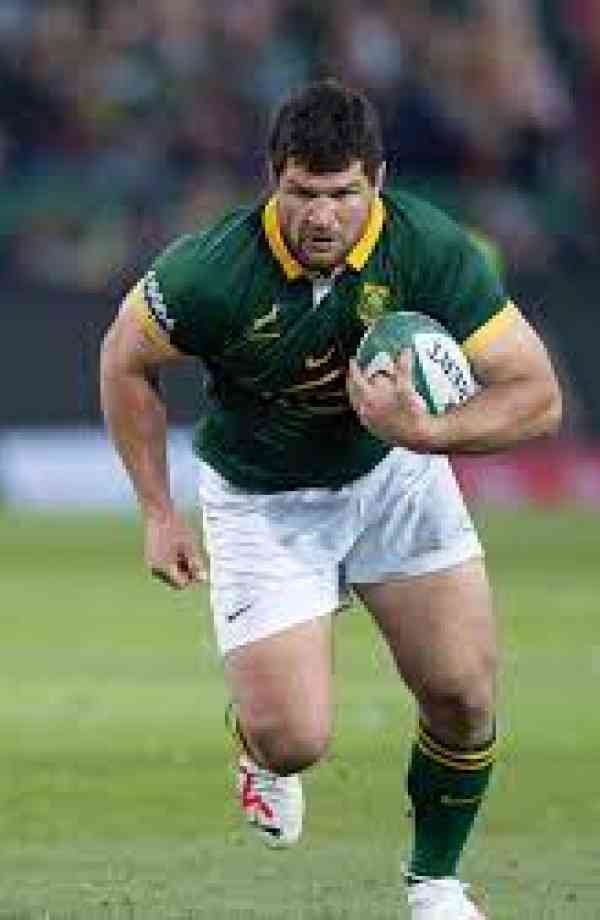 Marco van Staden | Ultimate Rugby Players, News, Fixtures and Live Results