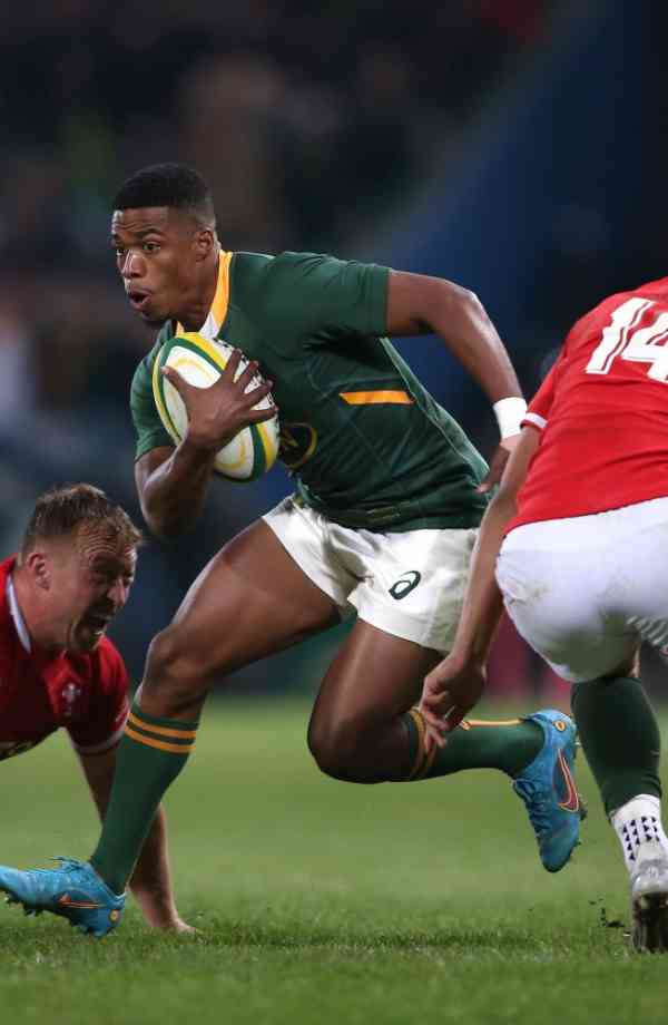 David Williams Rugby 2022