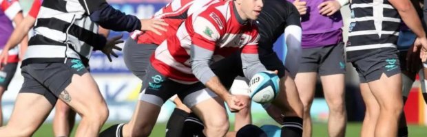 World Cup stars return for Scarlets | Ultimate Rugby Players, News ...