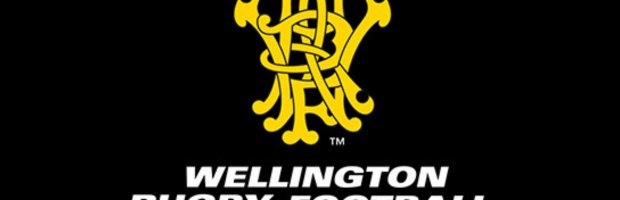 Wellington Rugby appoint new coaches for Lions and Pride | Ultimate ...