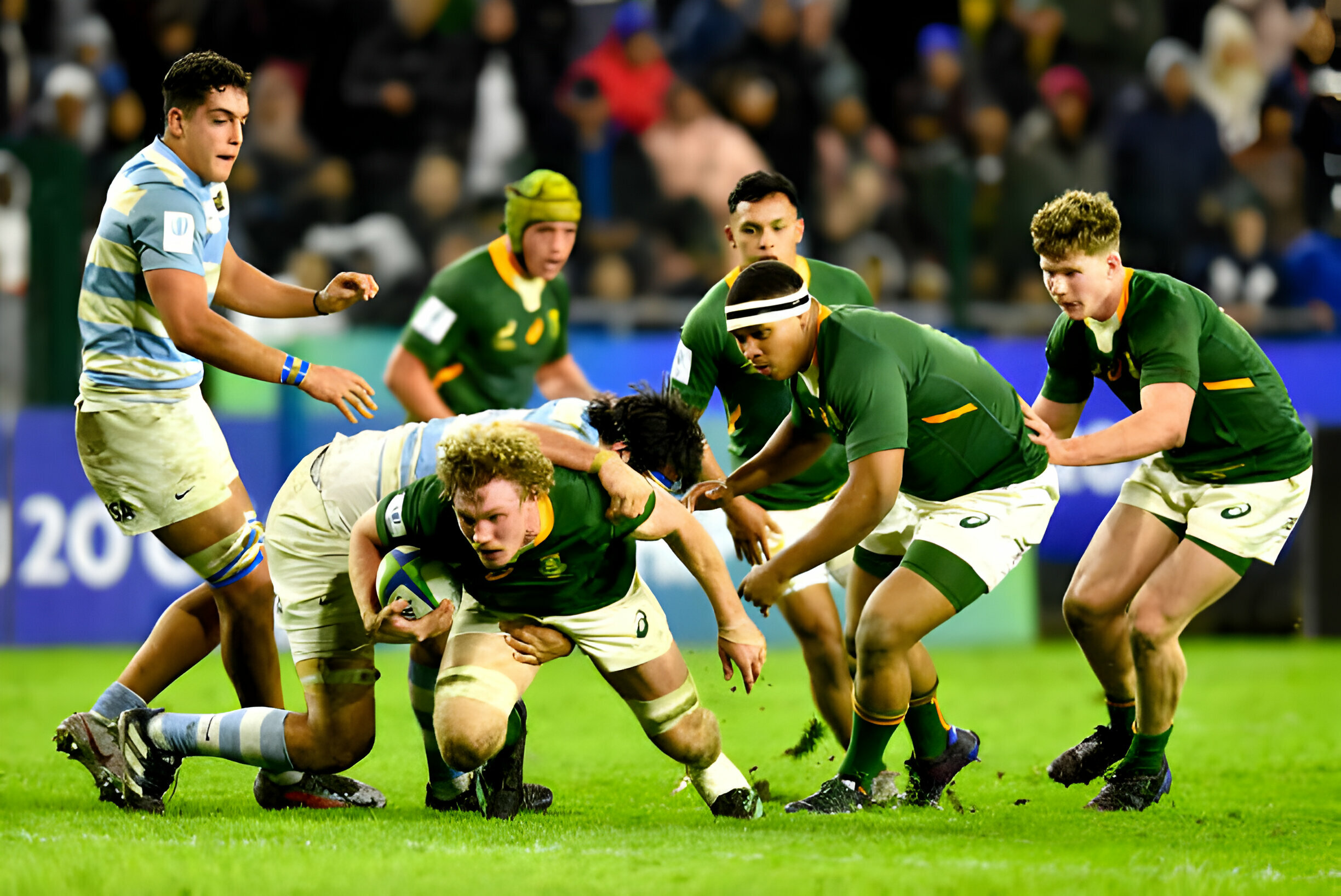 Leicester Tigers sign Junior Springboks backrower Corné Beets ...
