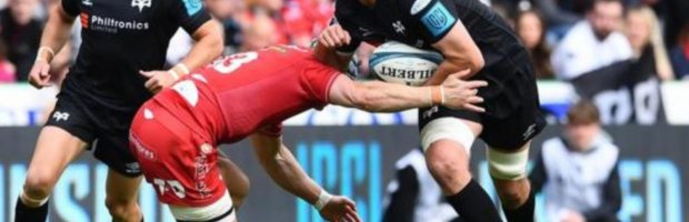 Cheetahs welcomes four Osprey players on short-term loan | Ultimate ...