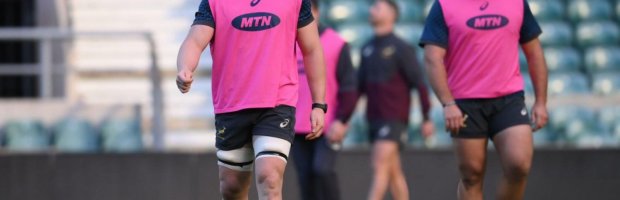 Springbok eighth-man expects a physical encounter vs Wales | Ultimate ...